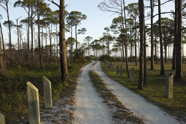 Explore Eastpoint, Florida: 4 Awesome Activities in a Unique Fishing ...