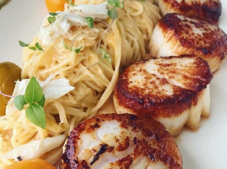 Craving Fresh Seafood? Take a Bite Out of Florida’s Forgotten Coast!