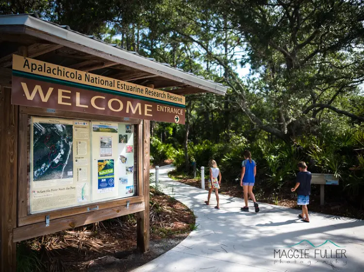 Explore Eastpoint, Florida: 4 Awesome Activities in a Unique Fishing ...